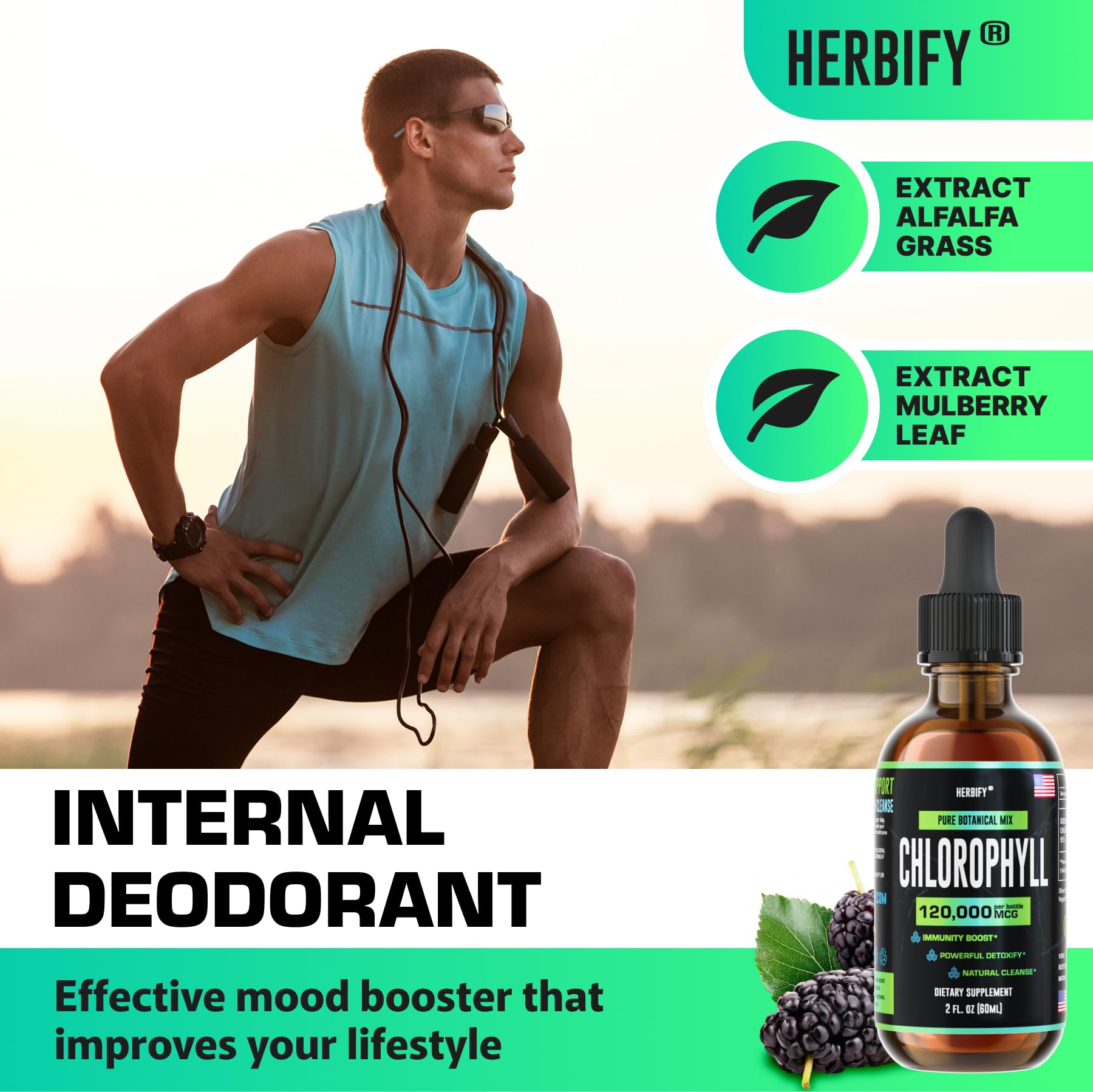 HERBIFY Chlorophyll Drops - Liquid Chlorophyll for Energy Boost ...