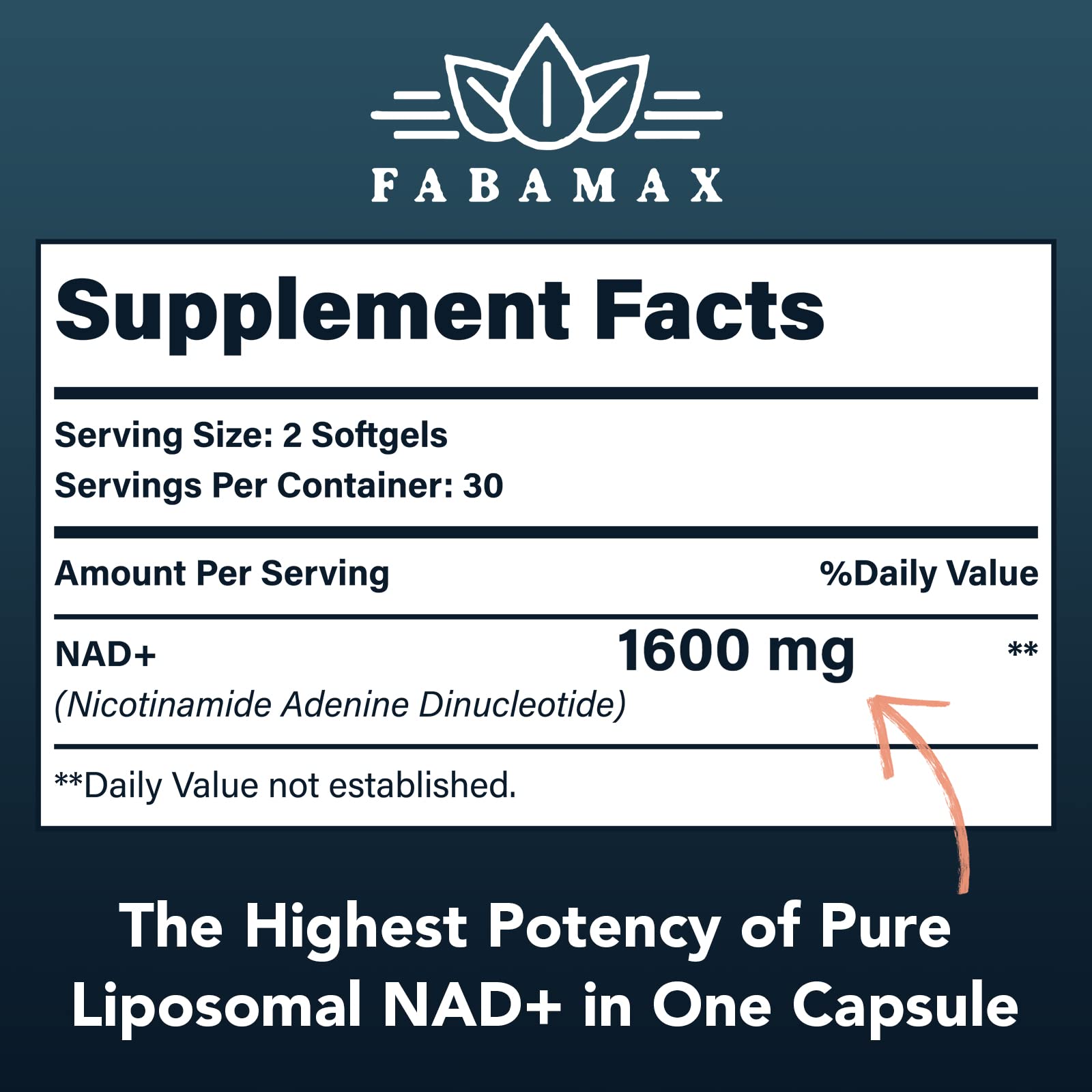 1600 mg Liposomal NAD Supplement, 98% Pure NAD+ Supplement, Superior ...