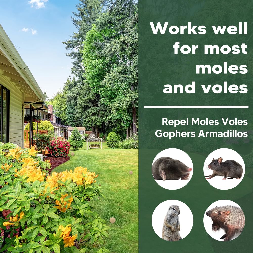 Mole Repellent Outdoor, Vole Repellent Outdoor, Get Rid of Ground Mole ...
