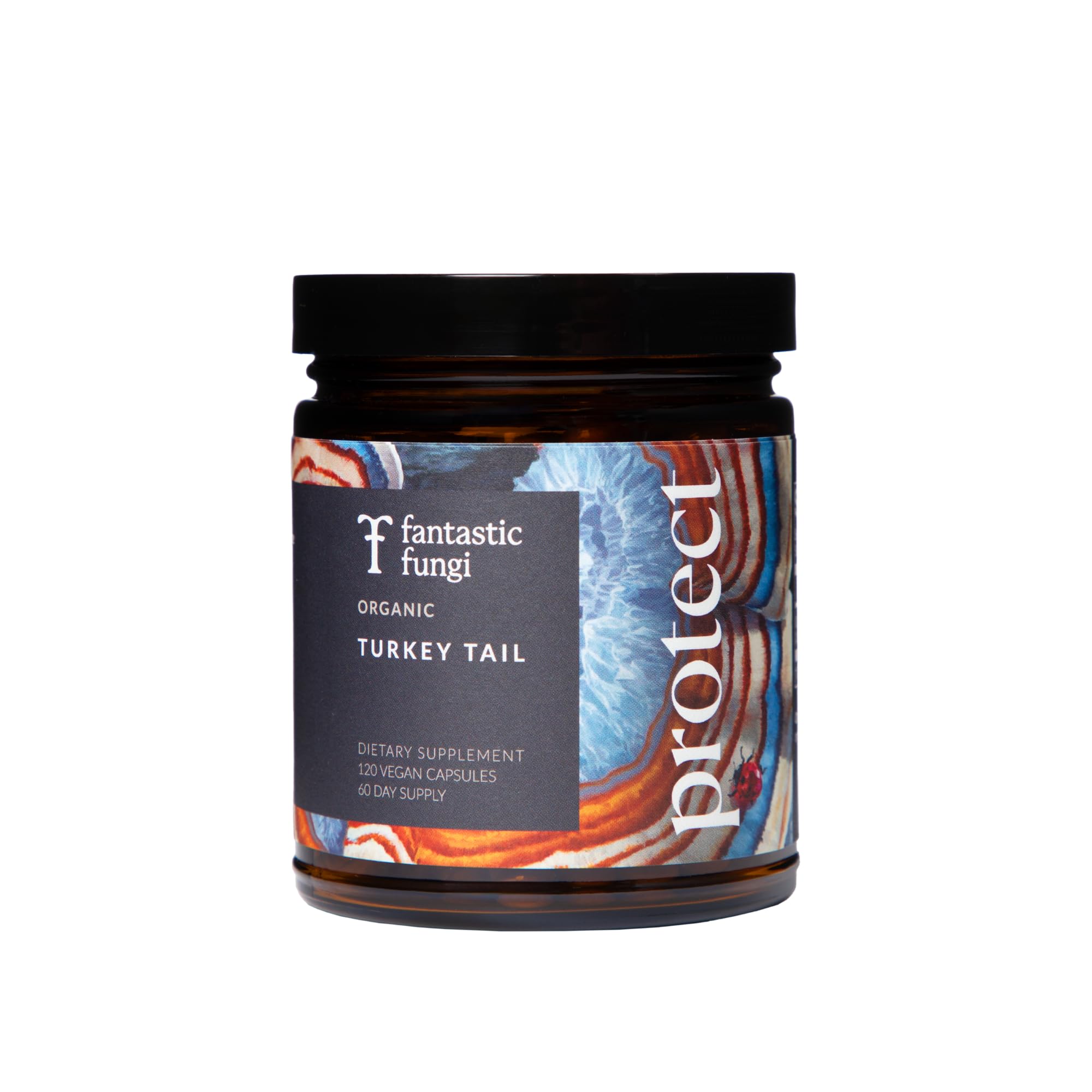 Protect Capsules | Organic Turkey Tail Mushroom Supplement | Immune ...