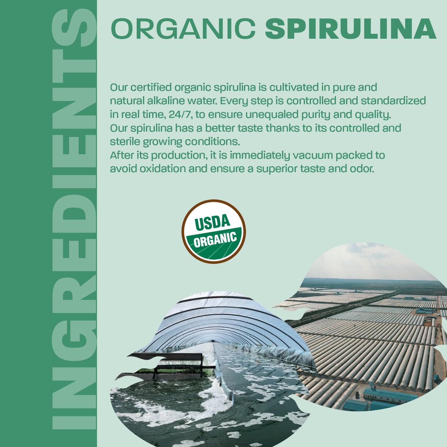 Land Art Certified Organic Spirulina - 180 Capsules - Superfood- Rich ...