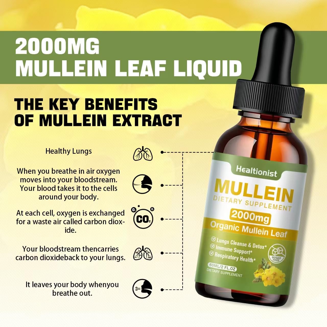2 Pack Mullein Drops for Lungs - Leaf Extract Liquid - Powerful Mullein ...