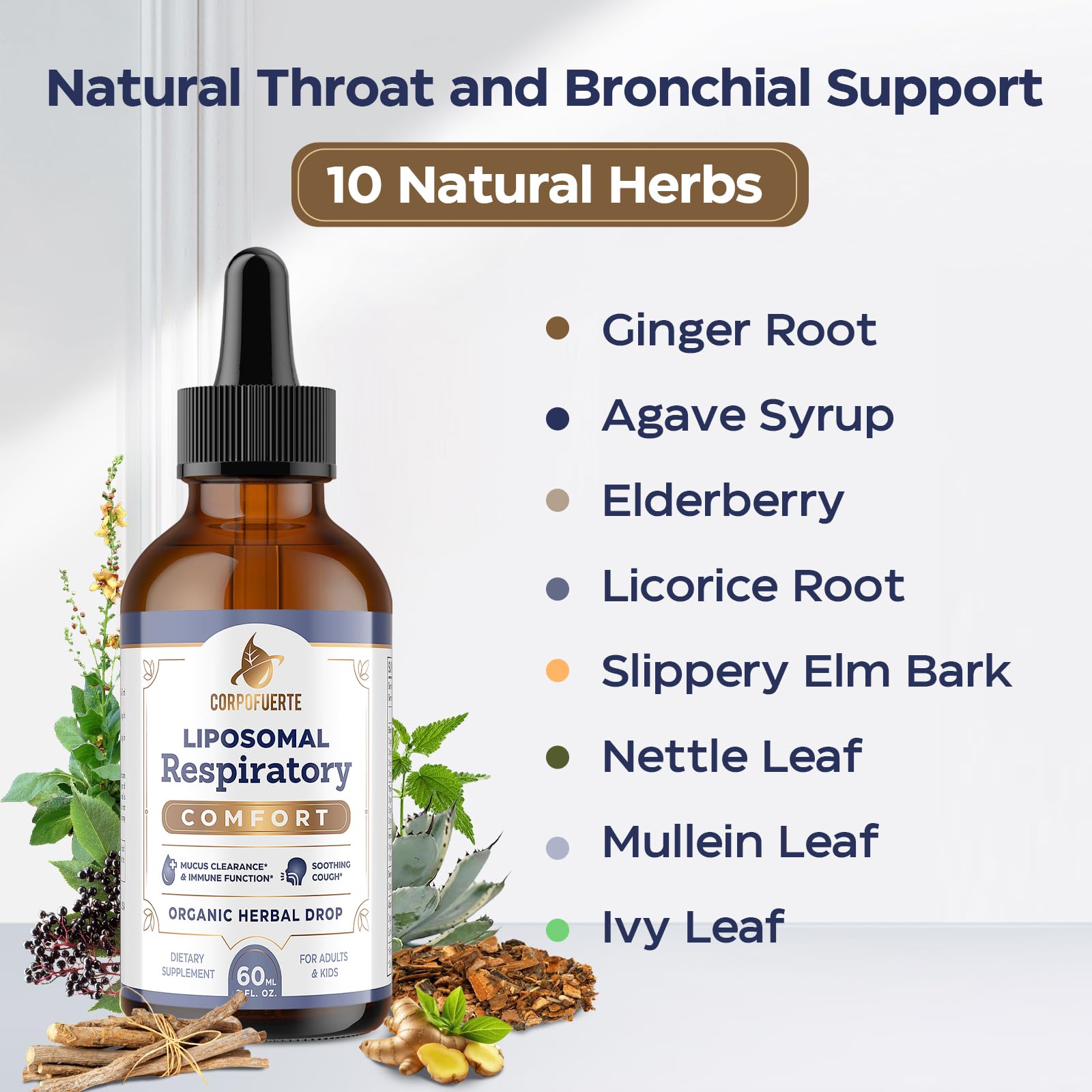 Liposomal Respiratory Relief Drops - Mullein Drops for Lungs with ...