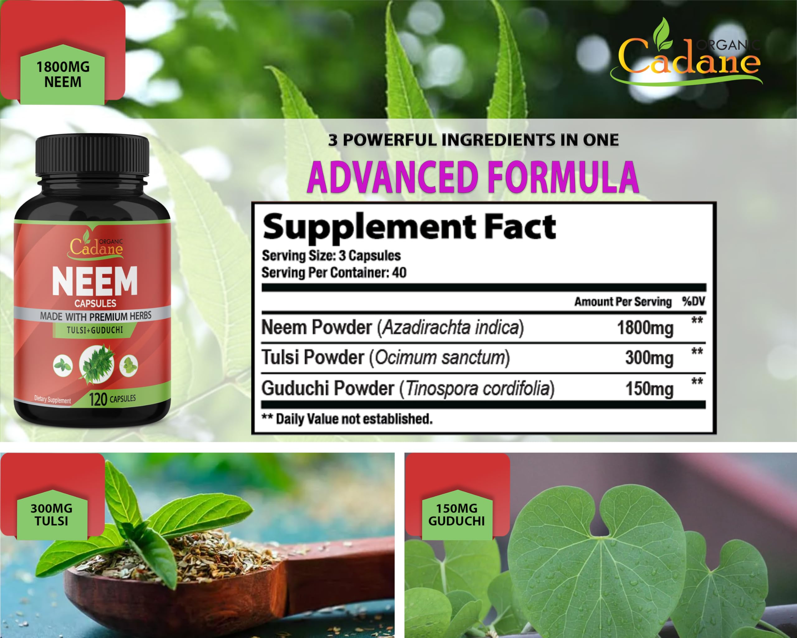 Organic Cadane Neem Leaf Supplements Capsules, 3in1 with Holy Basil ...