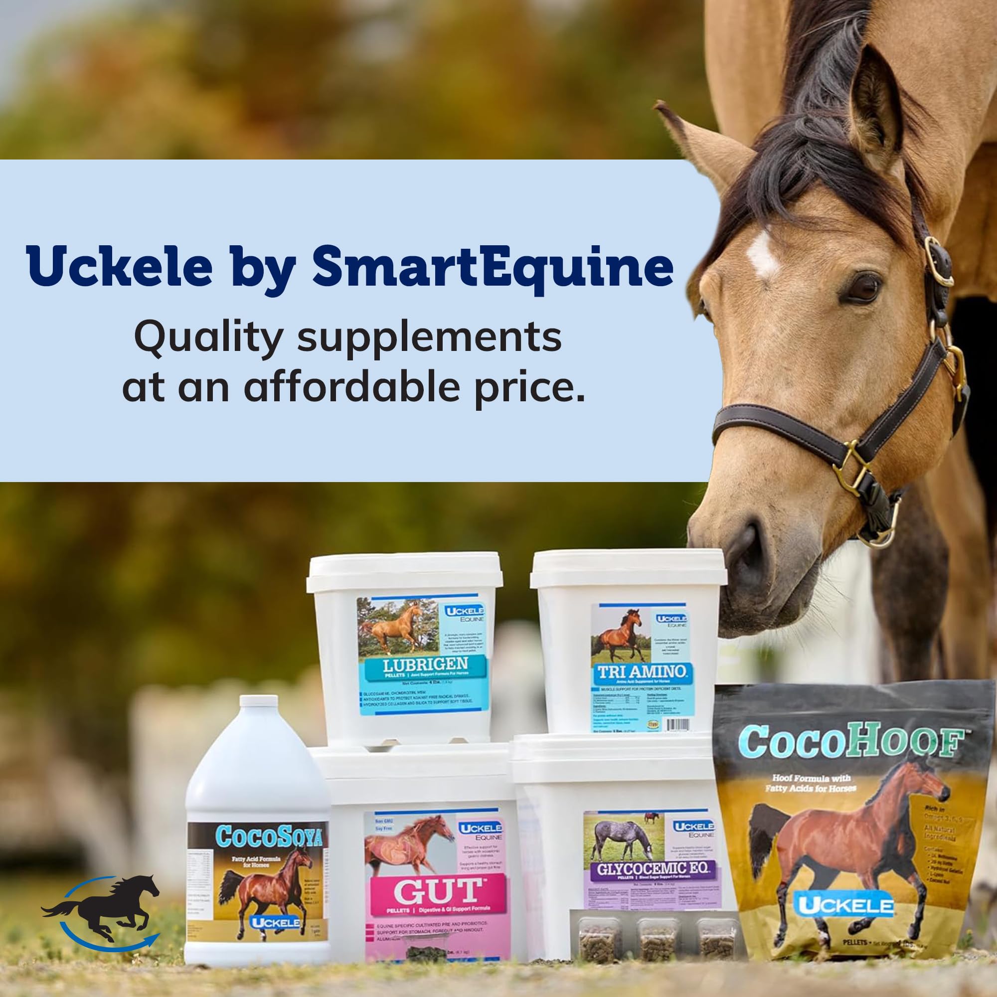 Uckele by SmartEquine Acetyl L-Carnitine HCL Powder | Horse Energy ...