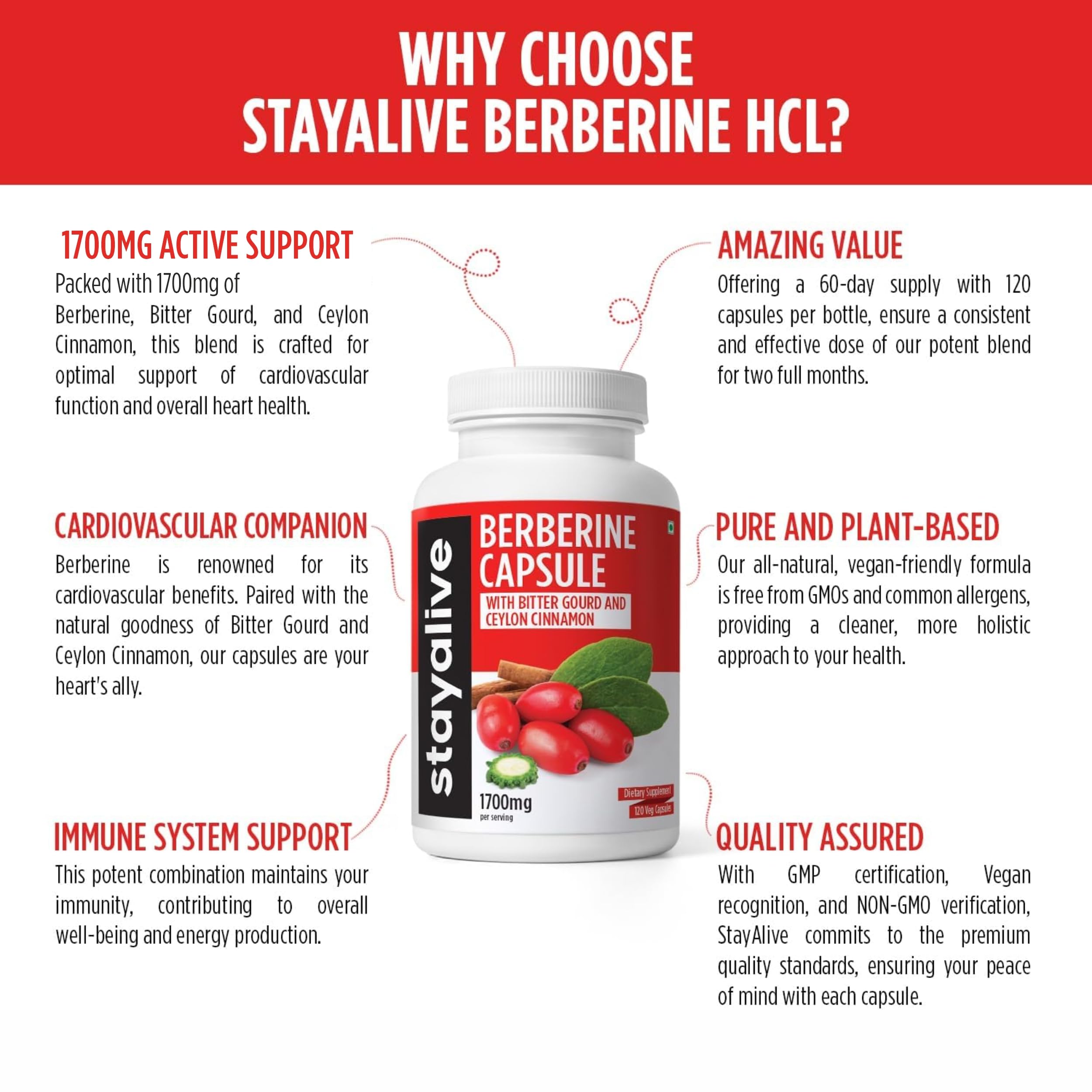 StayAlive Berberine with Ceylon Cinnamon, Berberine HCL 1200mg w/Bitter ...