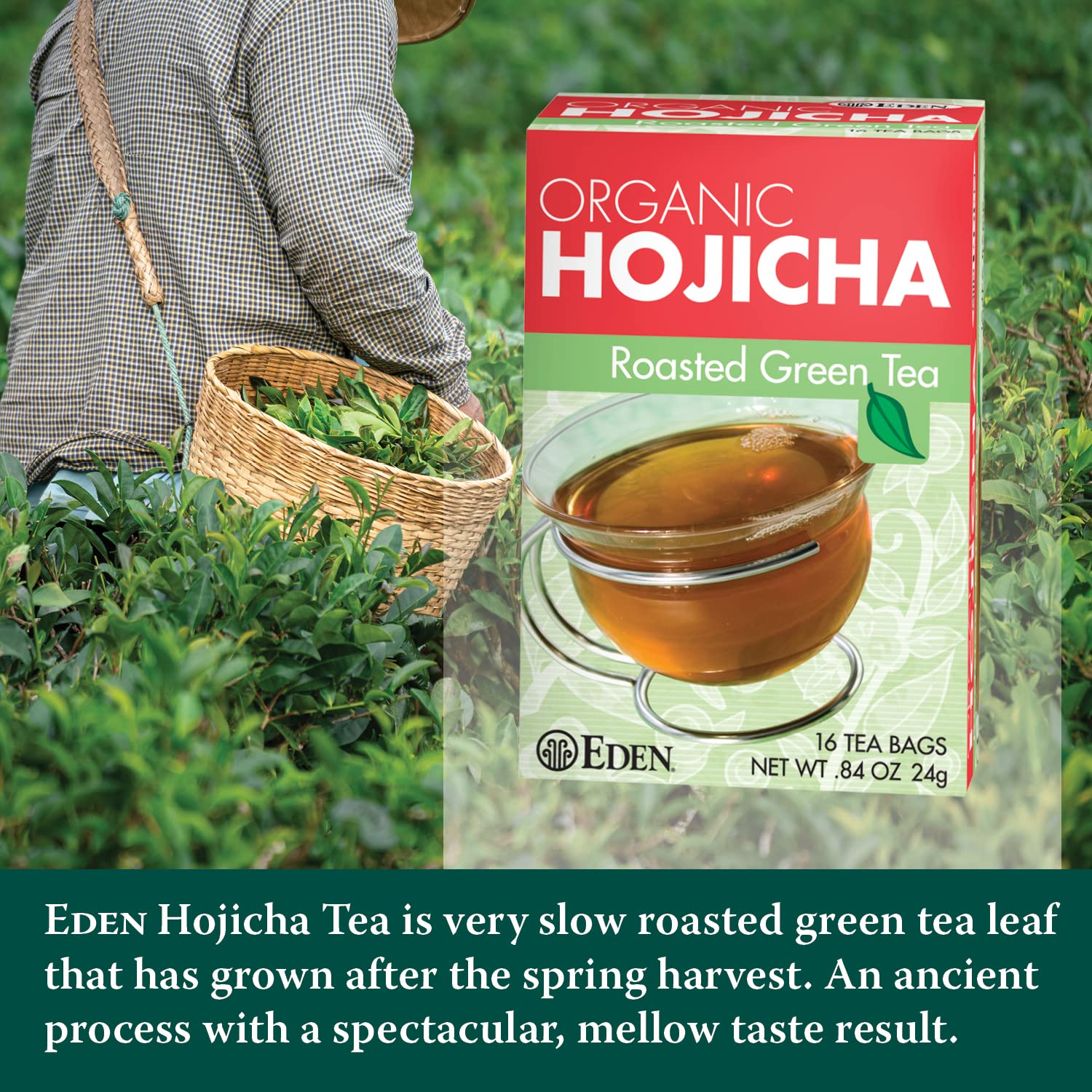 Eden Hojicha Organic Roasted Green Tea, Low Caffeine, Japanese, 16 ...