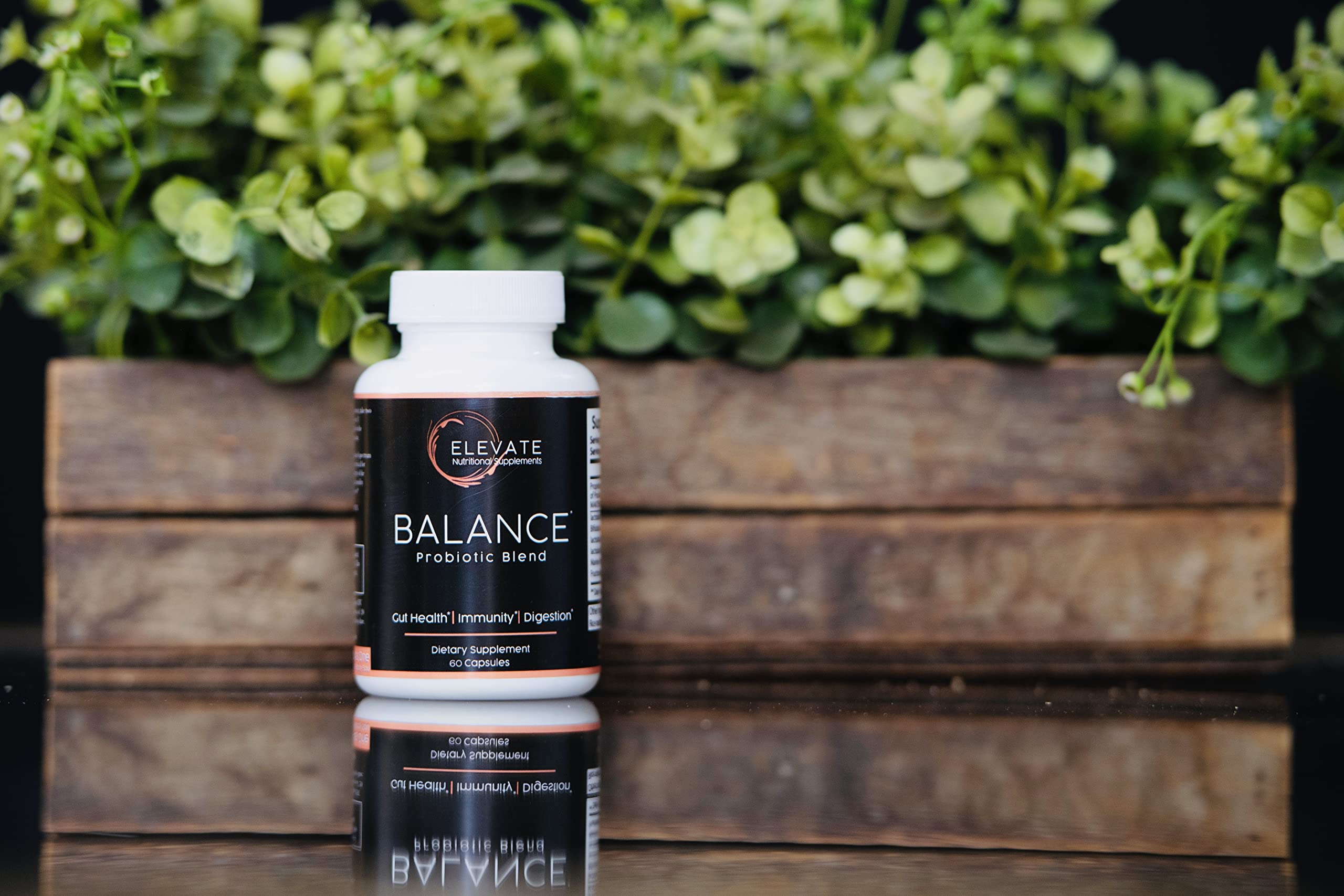 Balance Probiotic Blend | Gut Health | Immunity | Digestion - LifeIRL