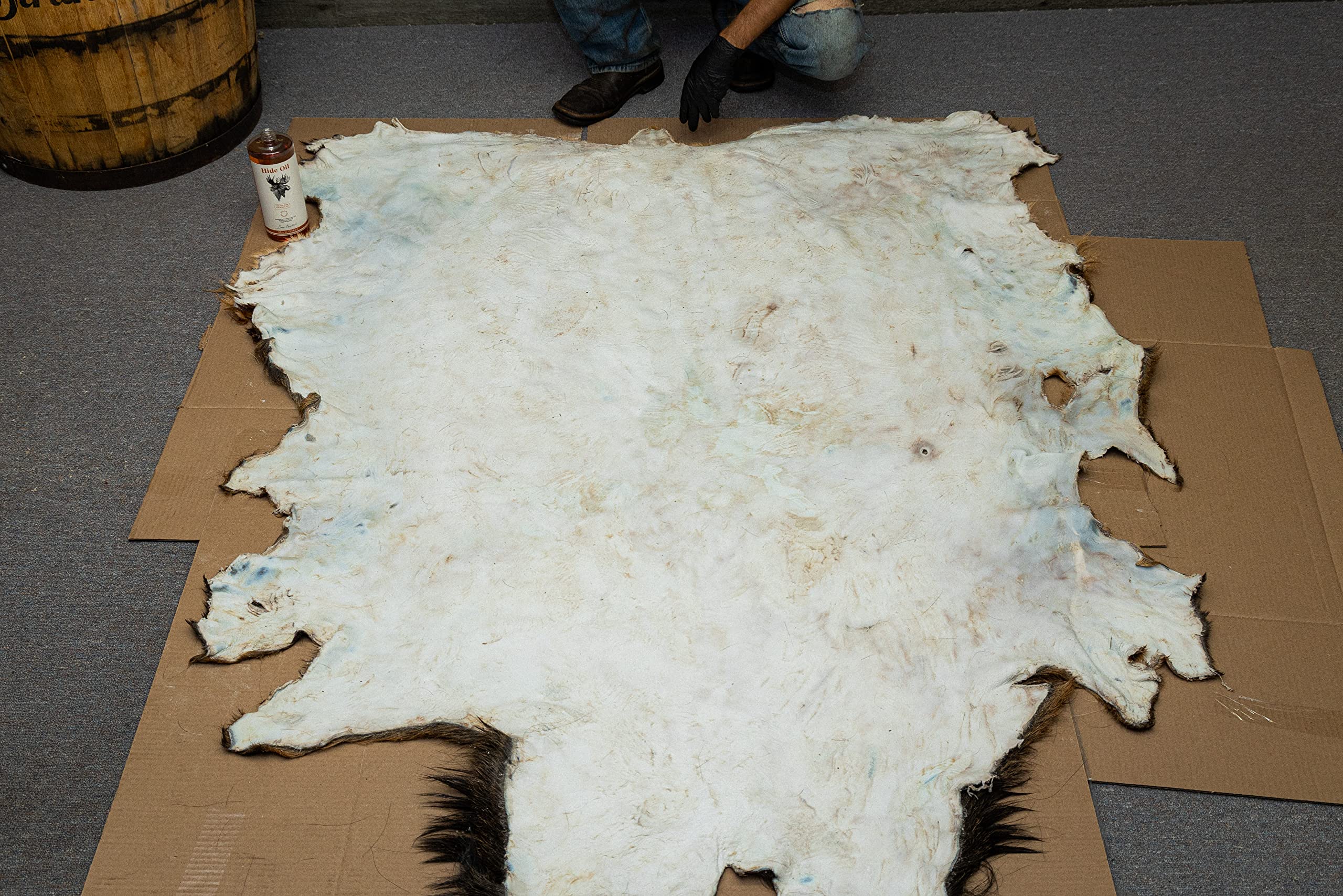 Advanced Tanning Solutions, Tan-a-Hide, Dale Knobloch's Large Mammal ...